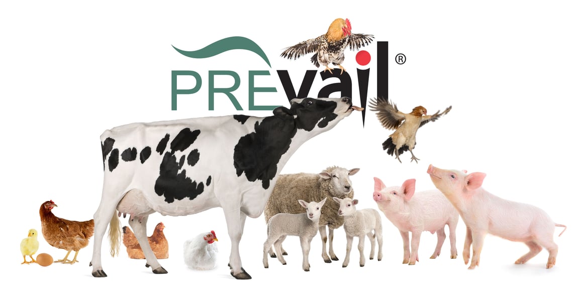 Prevail™ Products - Farm