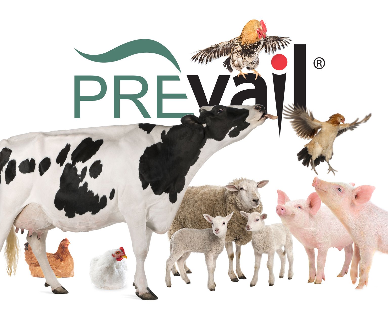 Prevail™ Products - Farm